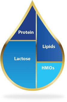 Human Milk Oligosaccharides (HMOs) & 2'FL | Similac®